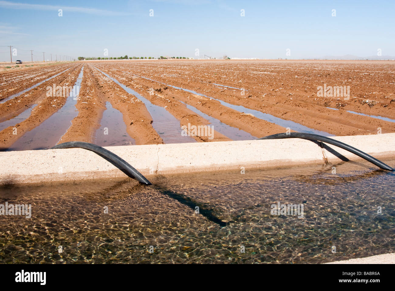 an irrigation canal and siphon tubes beside a field in Arizona Stock ...