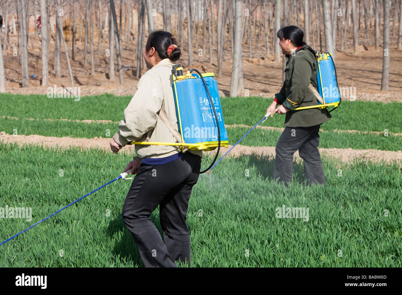 Pesticide insecticide poison spraying hi-res stock photography and ...