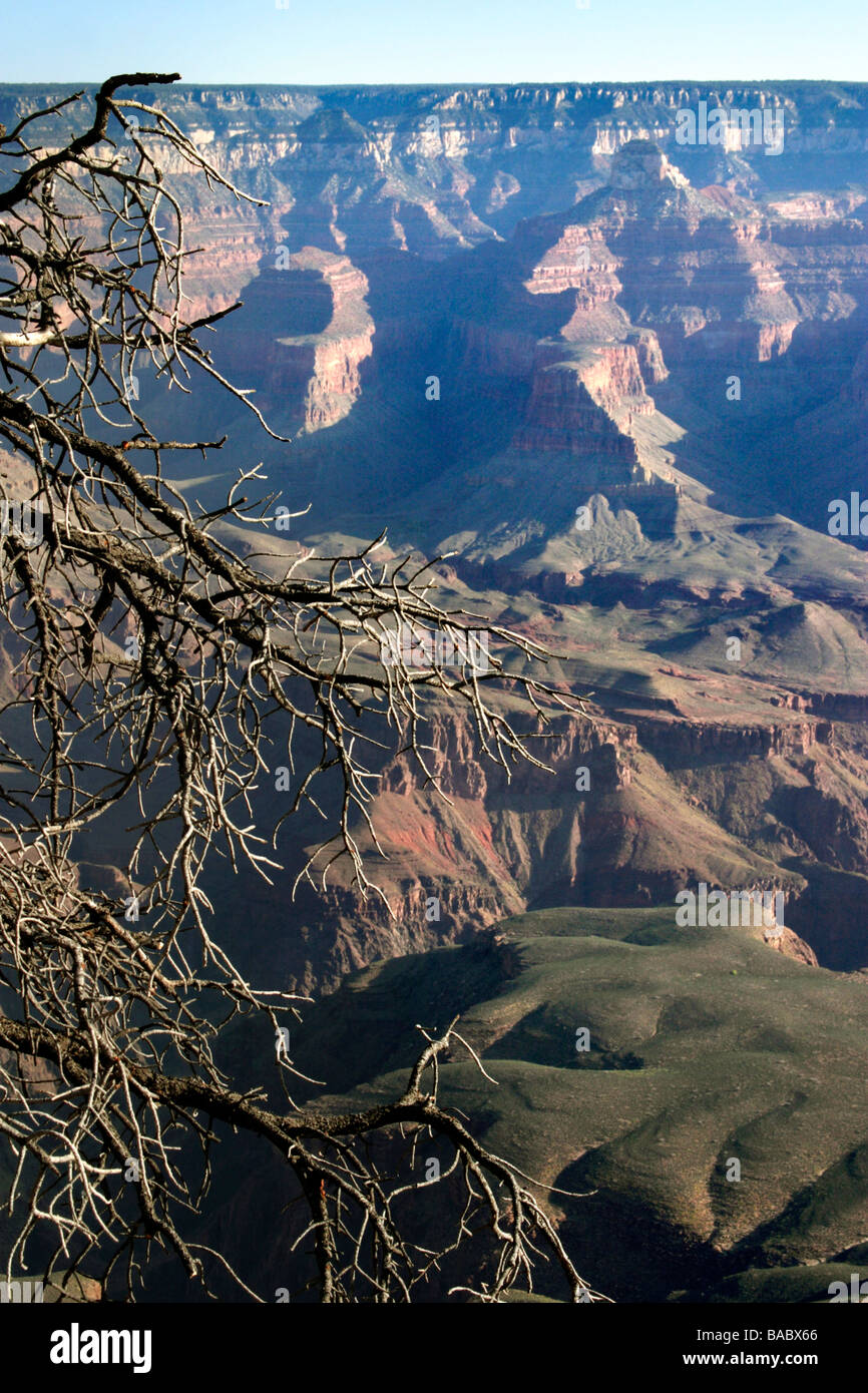 Hermit shale grand canyon hi-res stock photography and images - Alamy