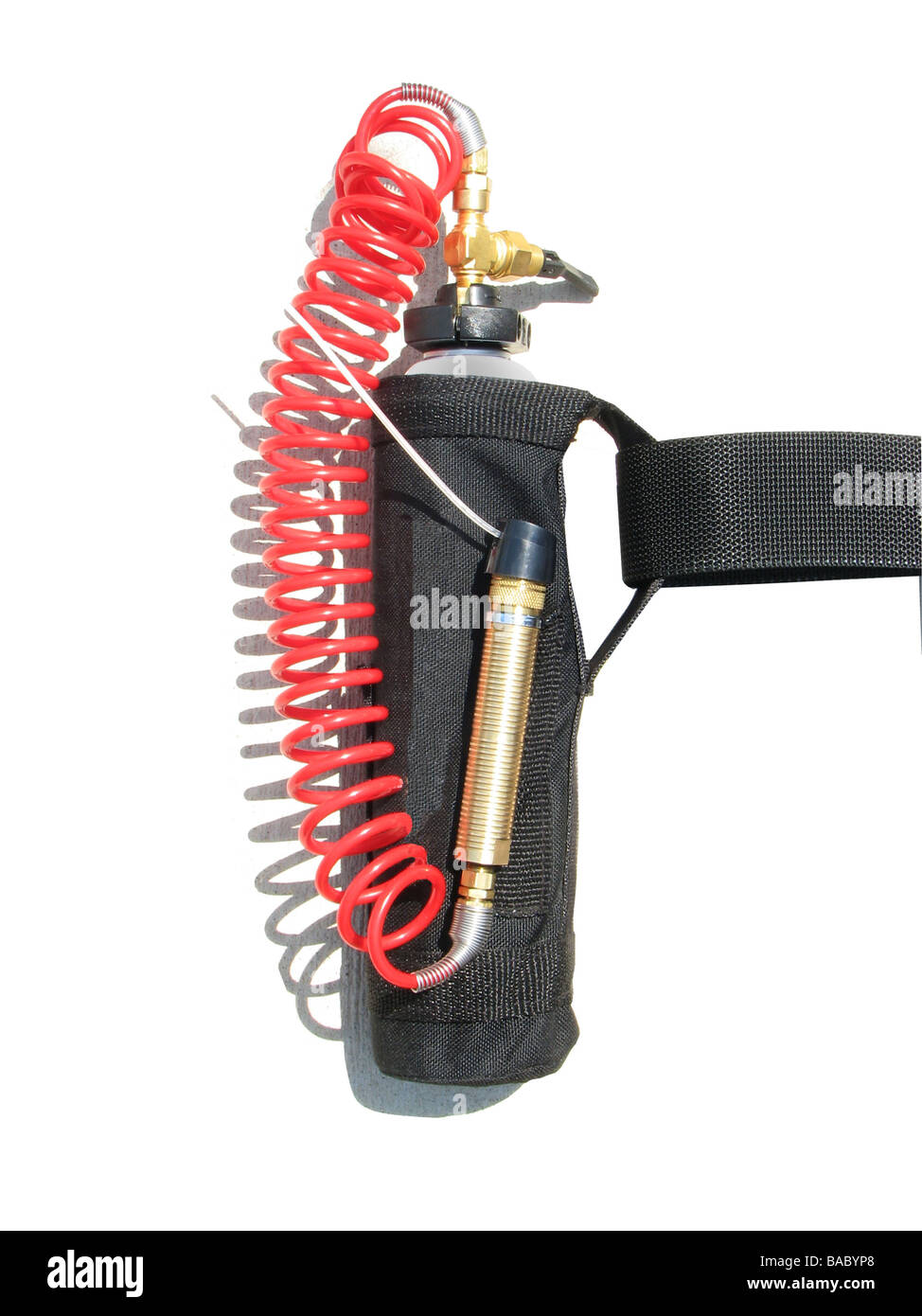 Pest services Cut Out Stock Images & Pictures - Alamy