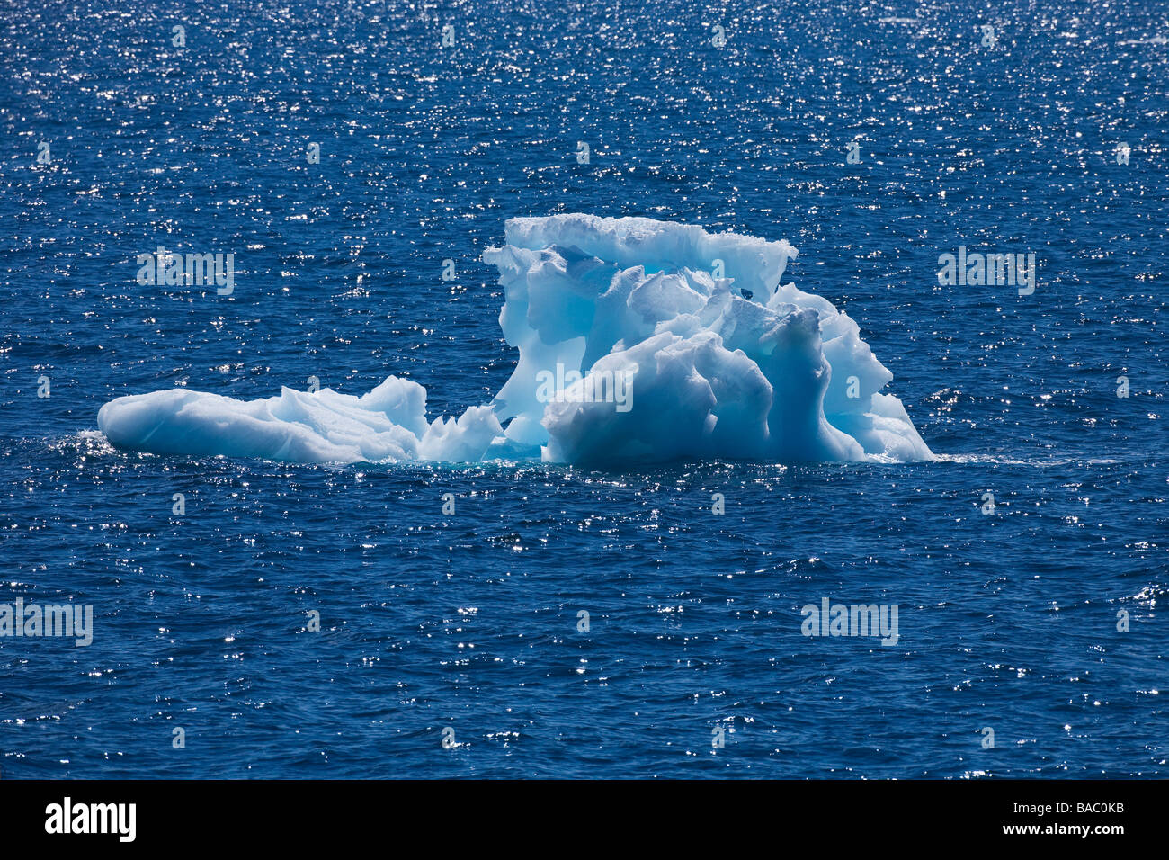Small iceberg in sea Antarctica Stock Photo - Alamy