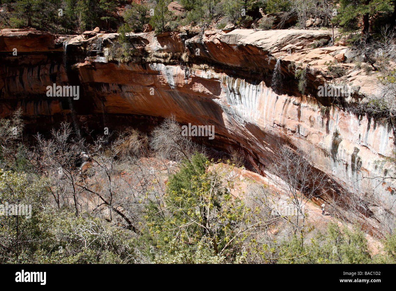 view of the lower emerald pool waterfall zion canyon national park utah usa Stock Photo - Alamy