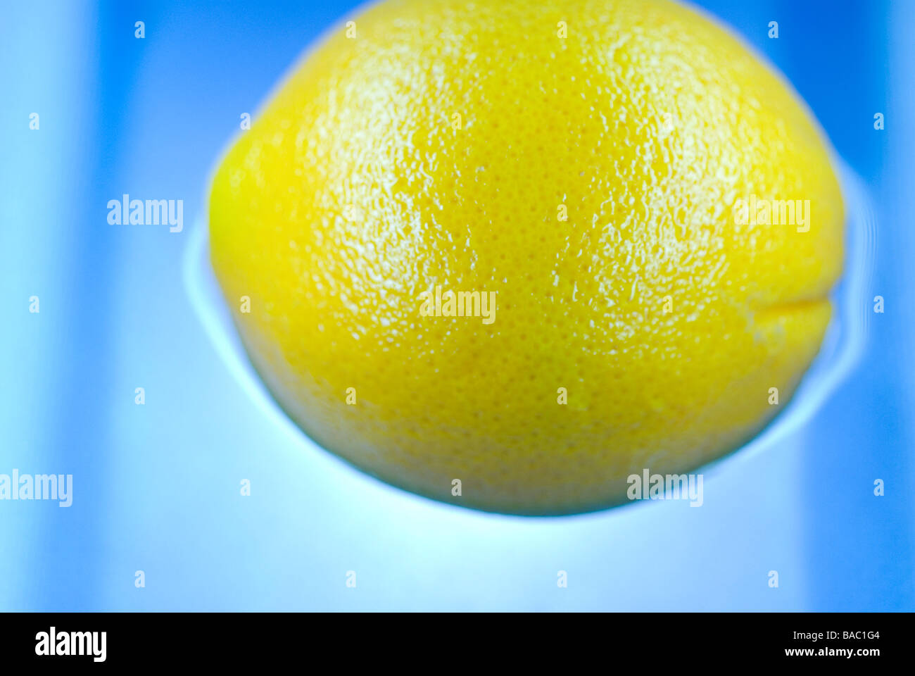 Lemon floating in blue water background, close-up Stock Photo - Alamy