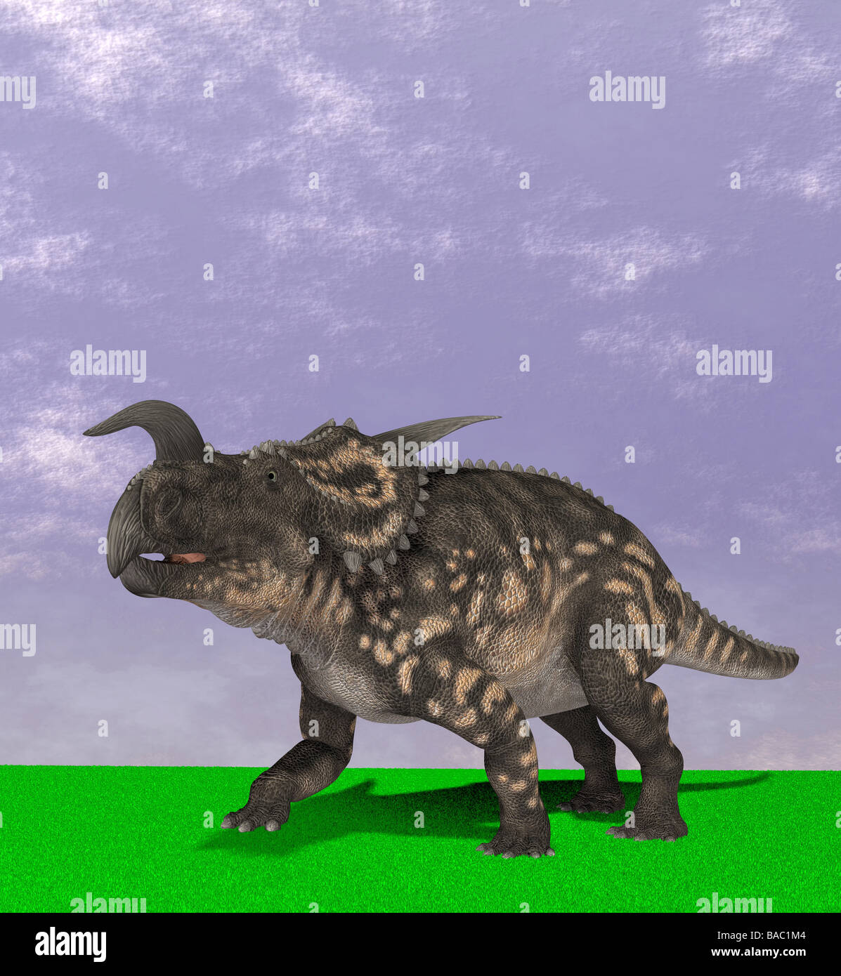 Einiosaurus hi-res stock photography and images - Alamy