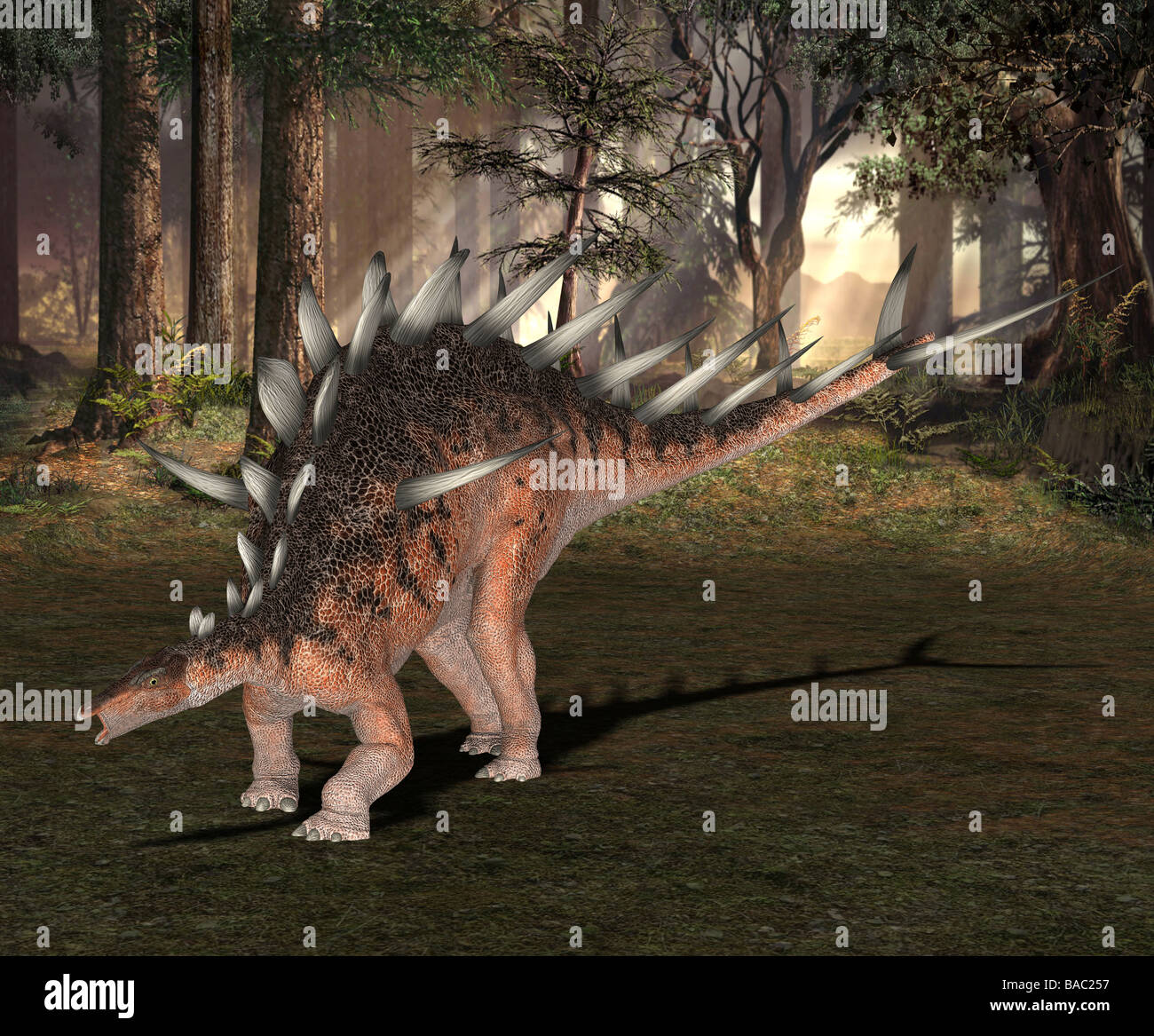 Kentrosaurus hi-res stock photography and images - Alamy