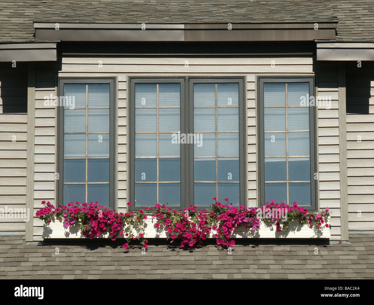 windows glass & screens Stock Photo - Alamy