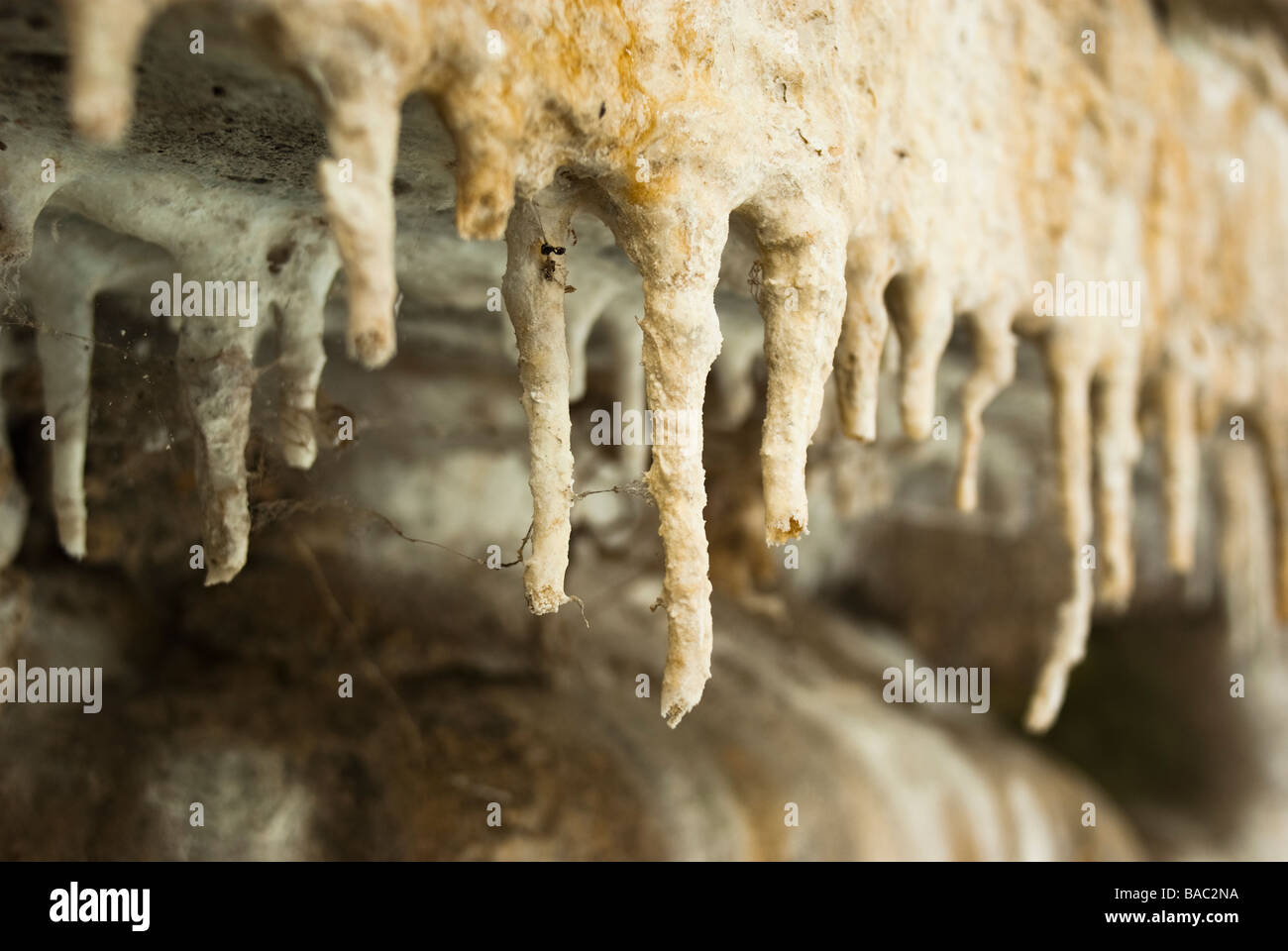Stalactites form on concrete under a man-made railroad bridge Stock ...