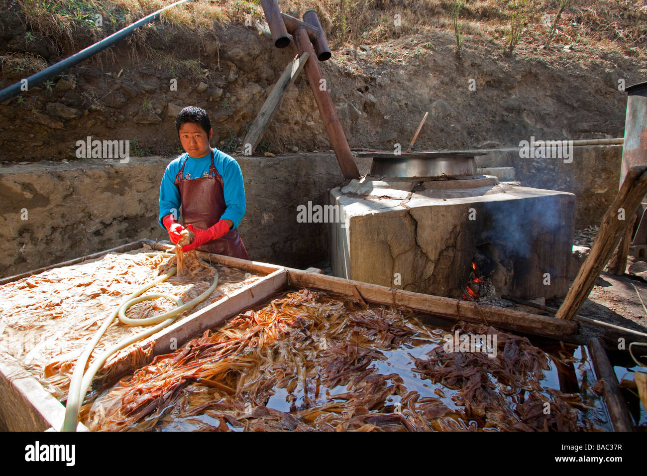 Worker soaking fibers at Jungshi Handmade Paper Factory in Thimphu ...