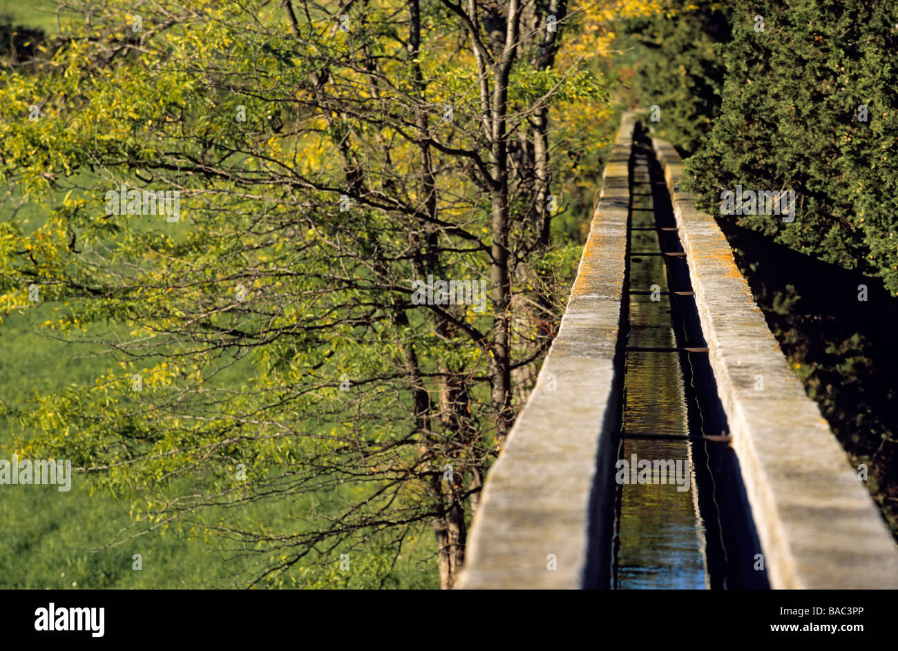 Gombert hi-res stock photography and images - Alamy
