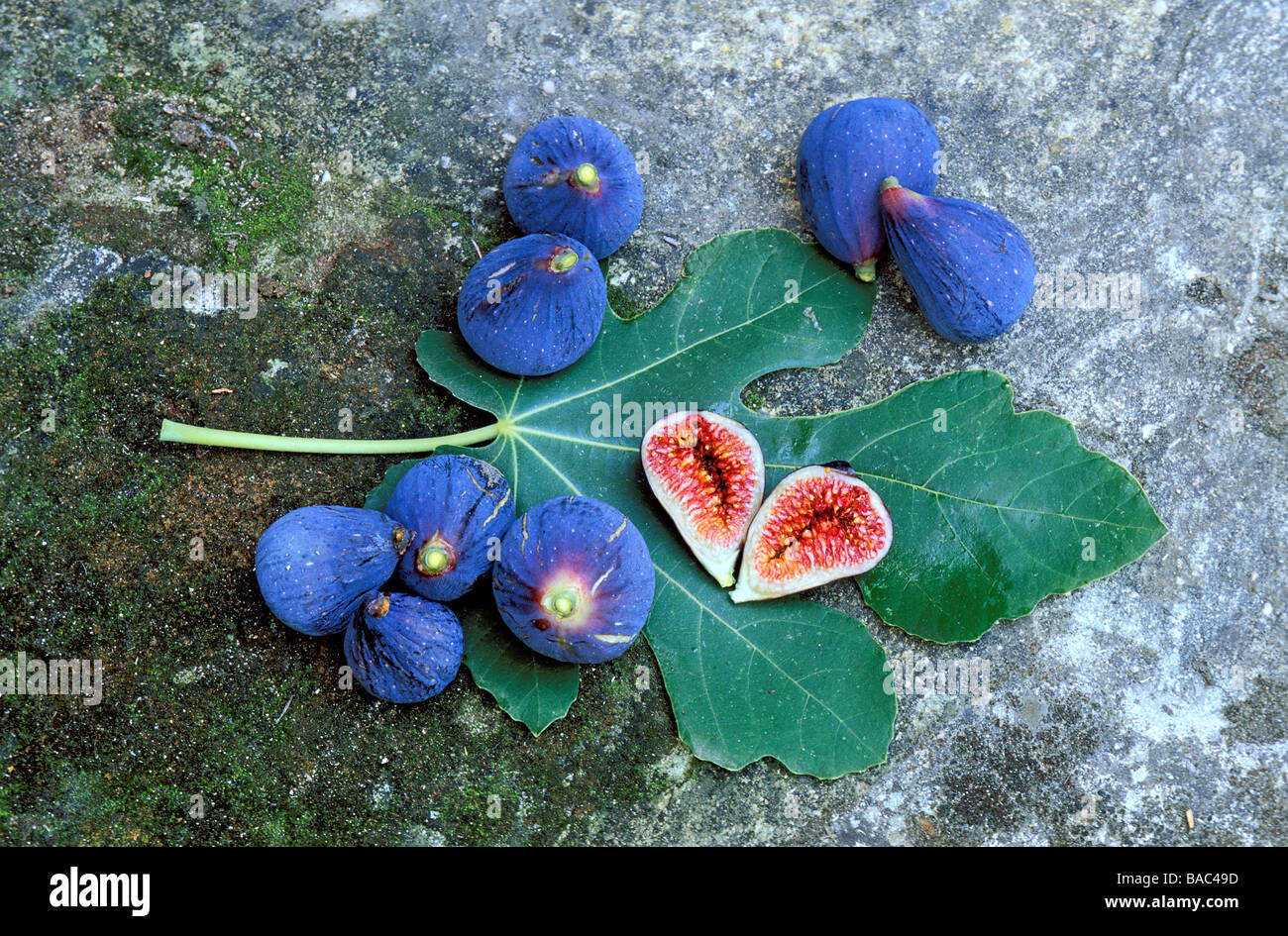 France, Gard, Nimes, figs Stock Photo - Alamy