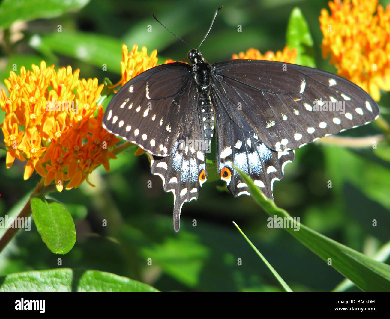 Artistic landscaping hi-res stock photography and images - Alamy