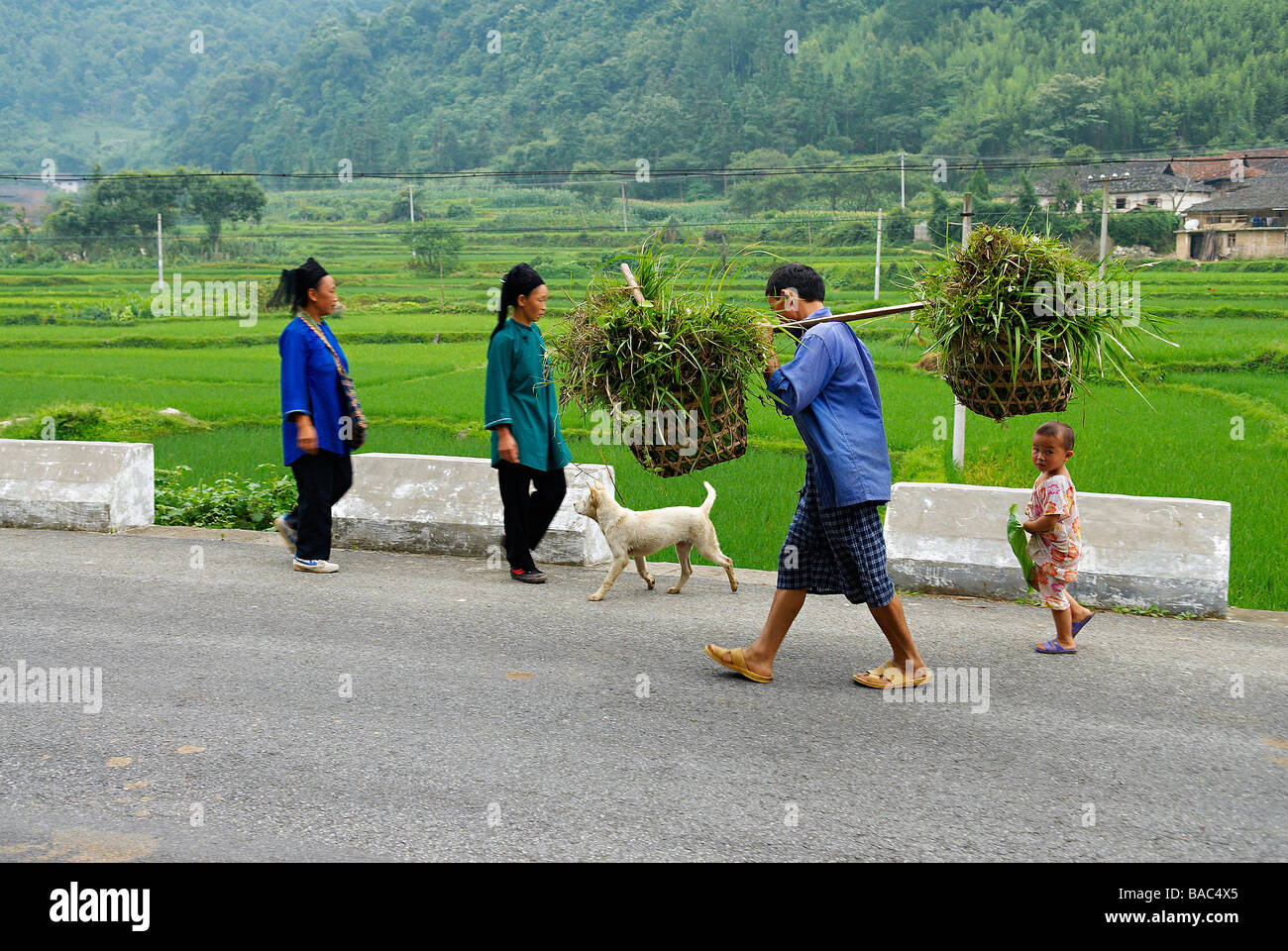 China, Guizhou Province, Shui ethnic group in a village around Libo ...