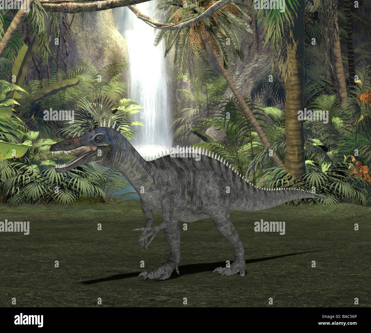 Suchomimus High Resolution Stock Photography and Images - Alamy