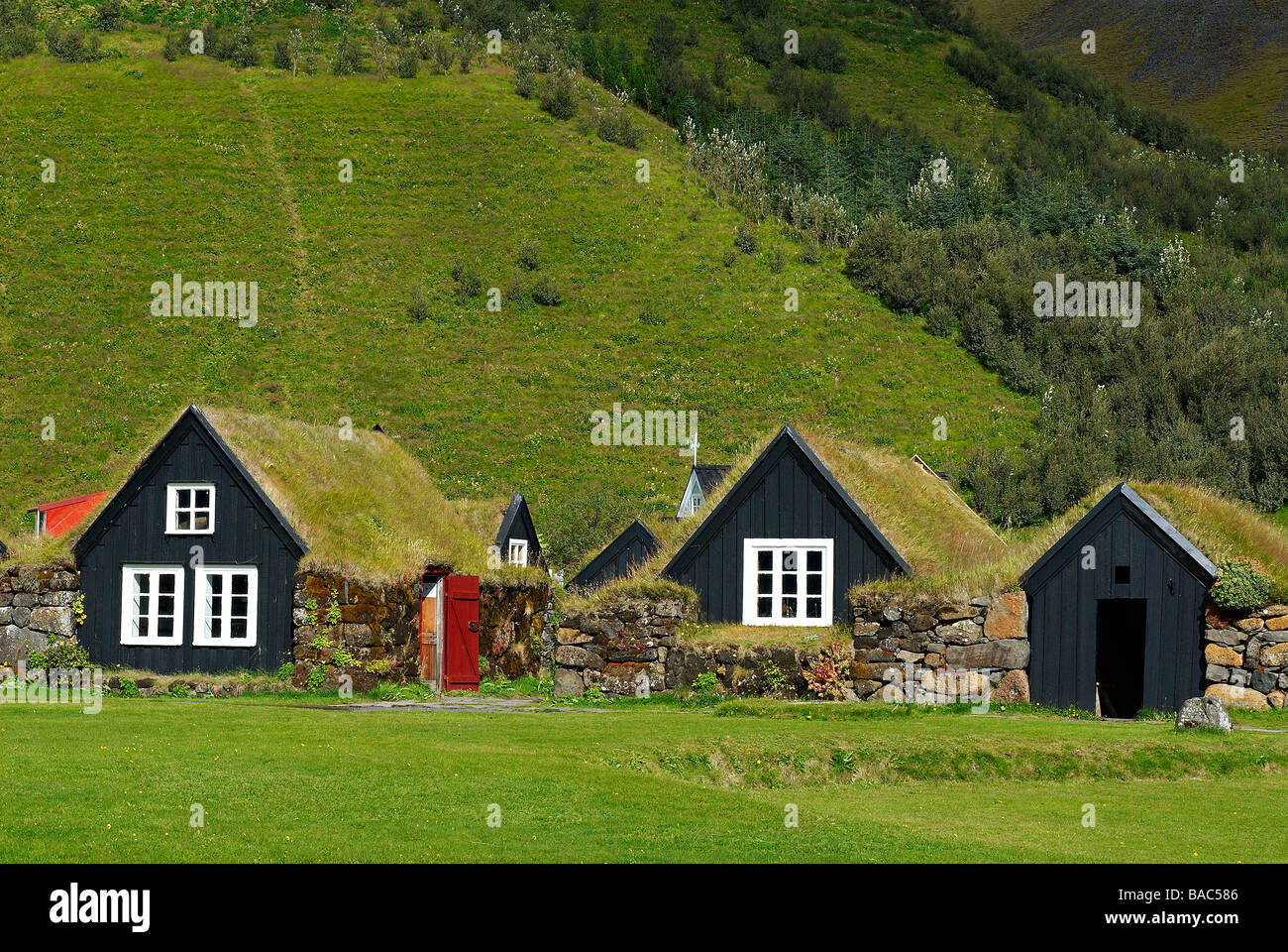 Iceland, south region, Skogar, old traditional farms with grass roof ...