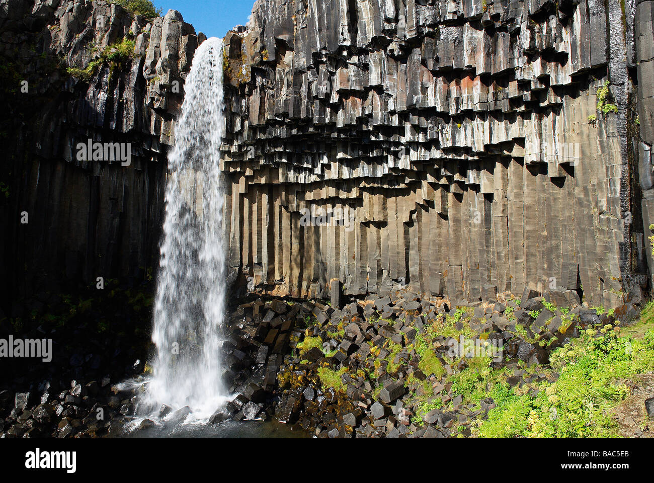Iceland, east region, Skaftafell National Park, columnar jointed basalt ...