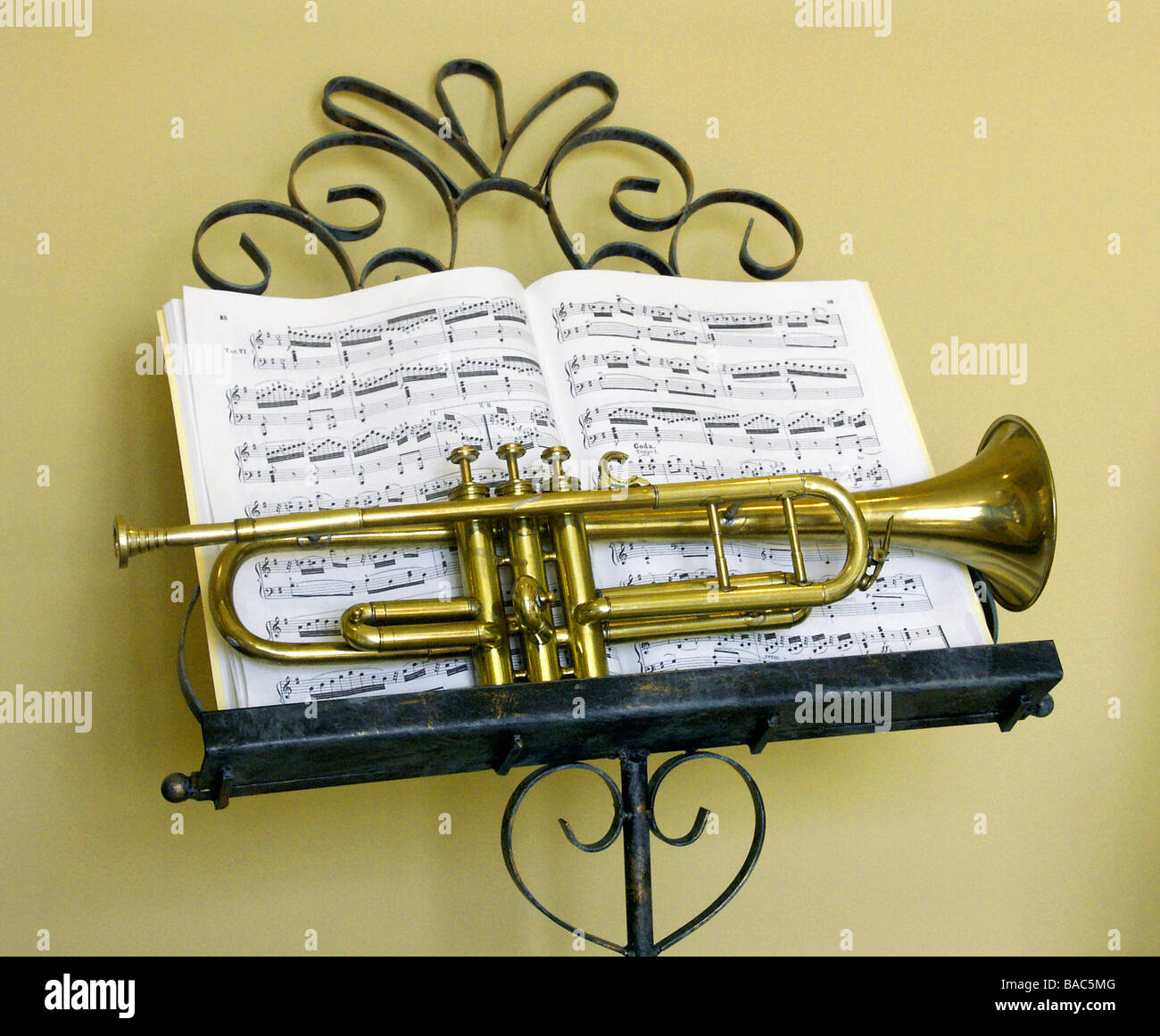 Musicals instruments hi-res stock photography and images - Alamy