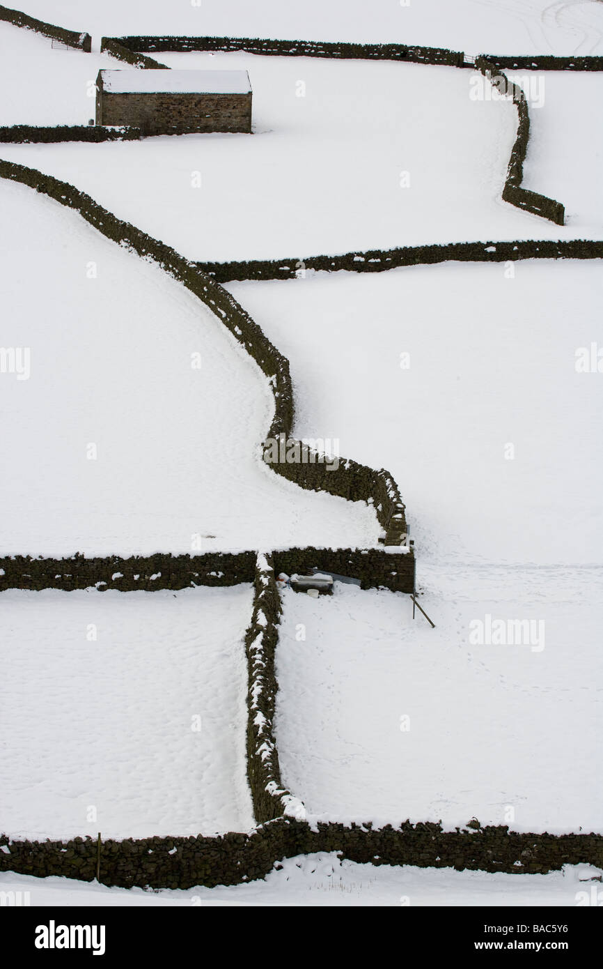 Gunnerside Yorkshire Dales in winter Stock Photo - Alamy