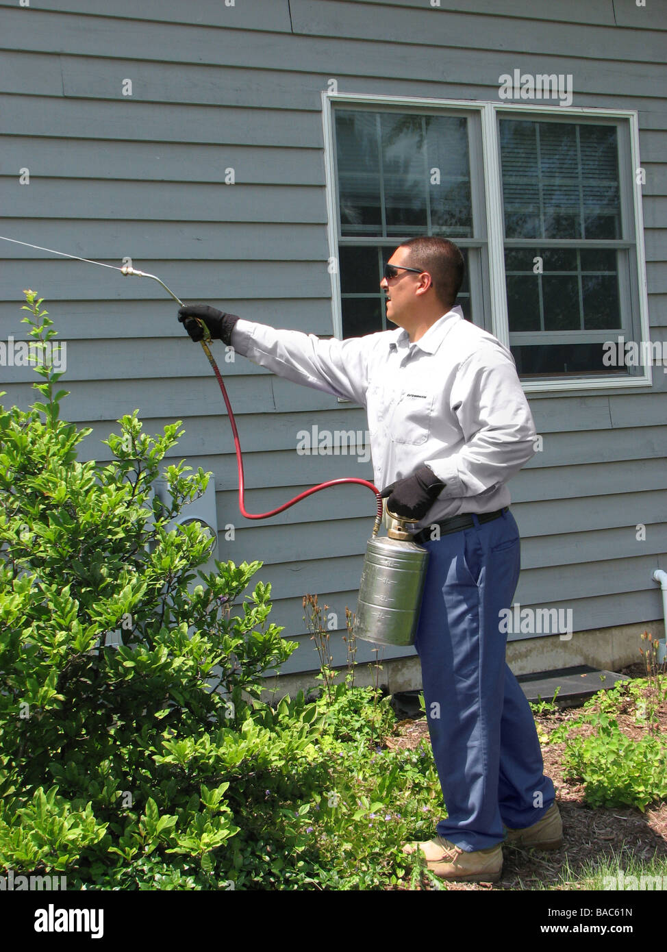 Pest services pest control hi-res stock photography and images - Alamy
