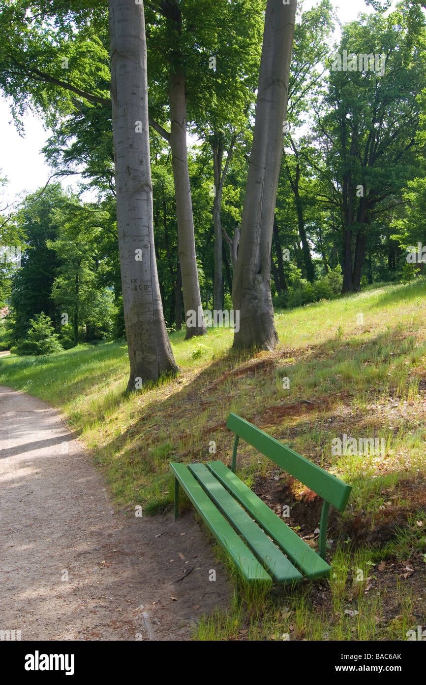 Quiet trail green park hi-res stock photography and images - Alamy