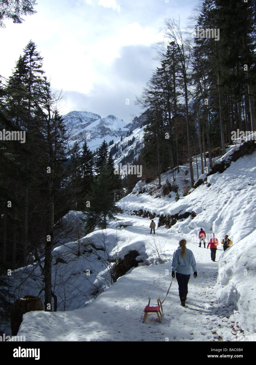 Group hiking in the Bregenz Forest Stock Photo - Alamy