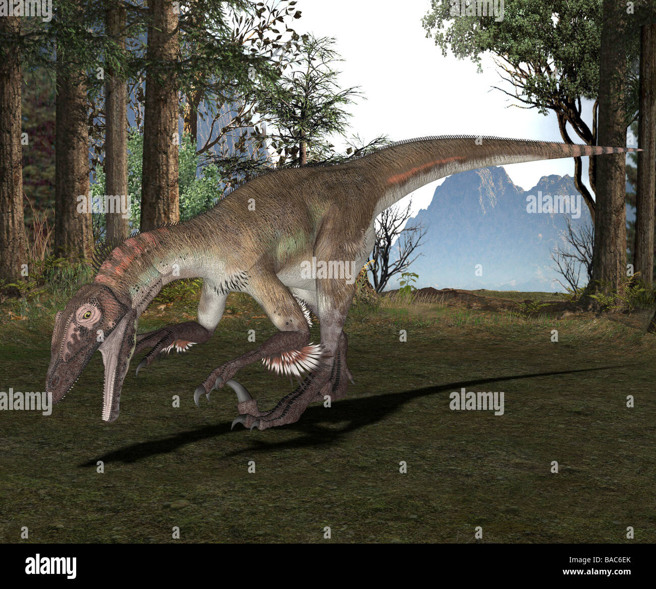 Utahraptor hi-res stock photography and images - Alamy