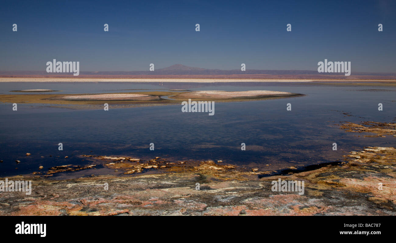 Chaxa Lagoon near Reserva Nacional los Flamencos, Salar de Atacama ...