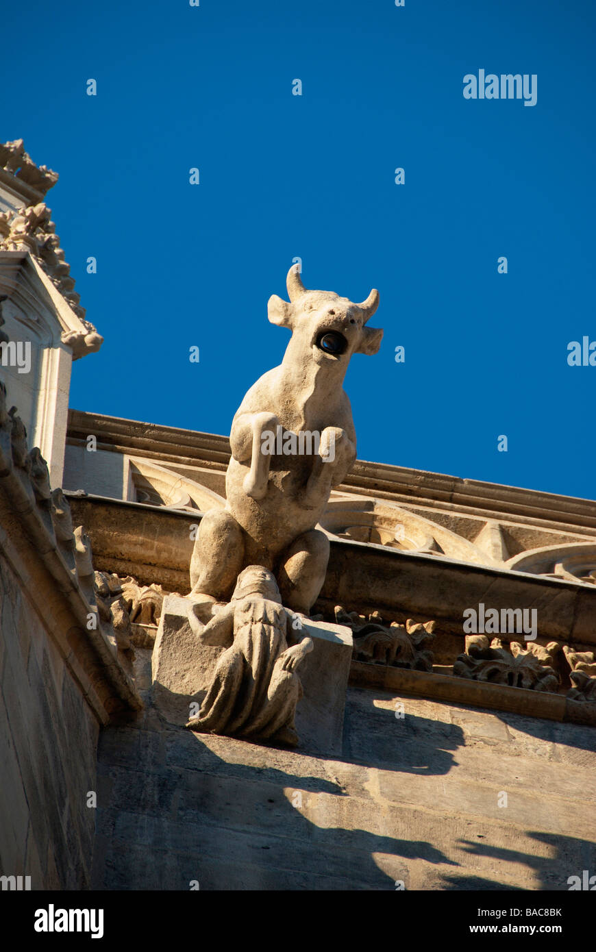 waterspout at the St. Stephen's Cathedral Stock Photo - Alamy