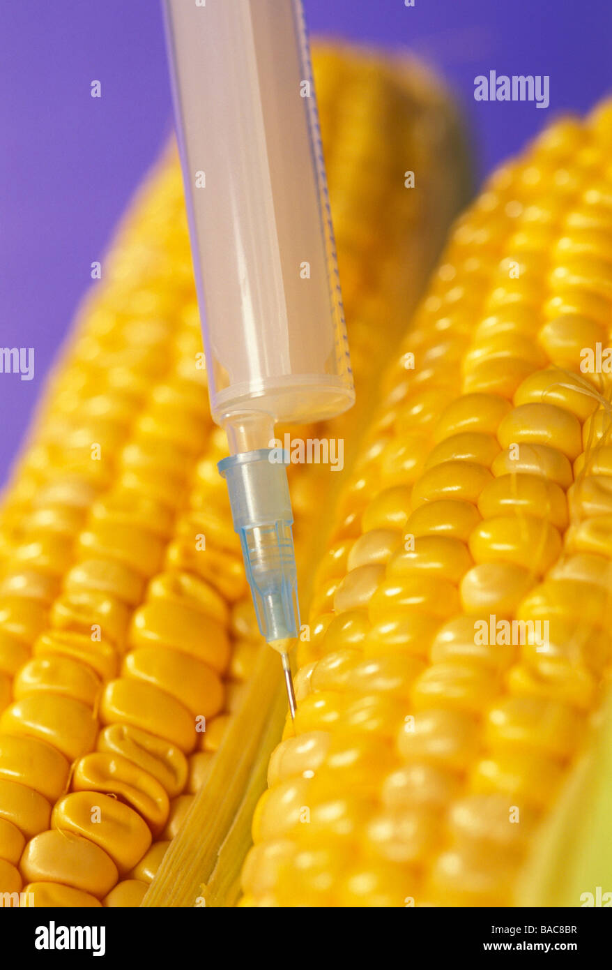Transgenic crops hi-res stock photography and images - Alamy
