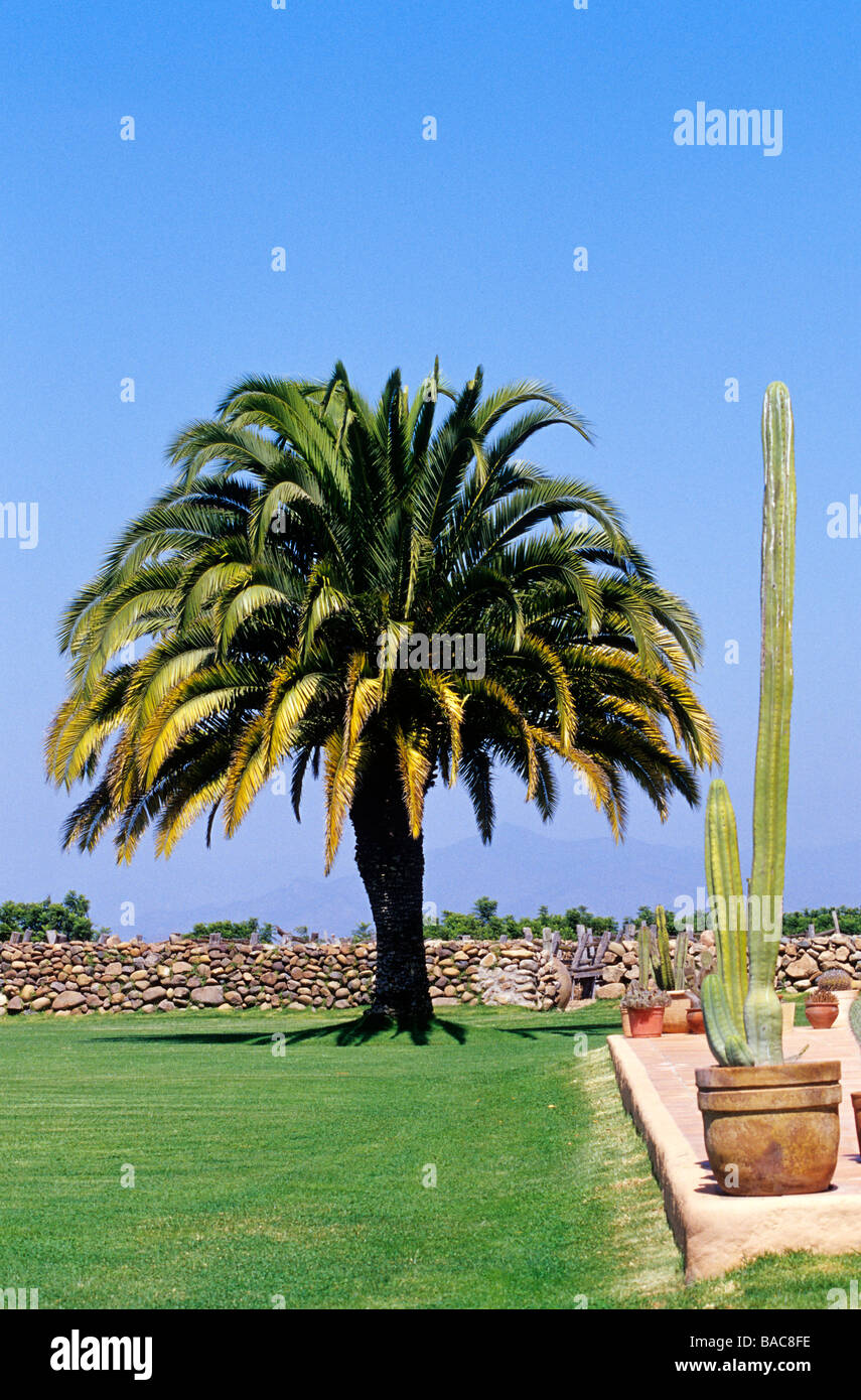 Limari valley chile hi-res stock photography and images - Alamy