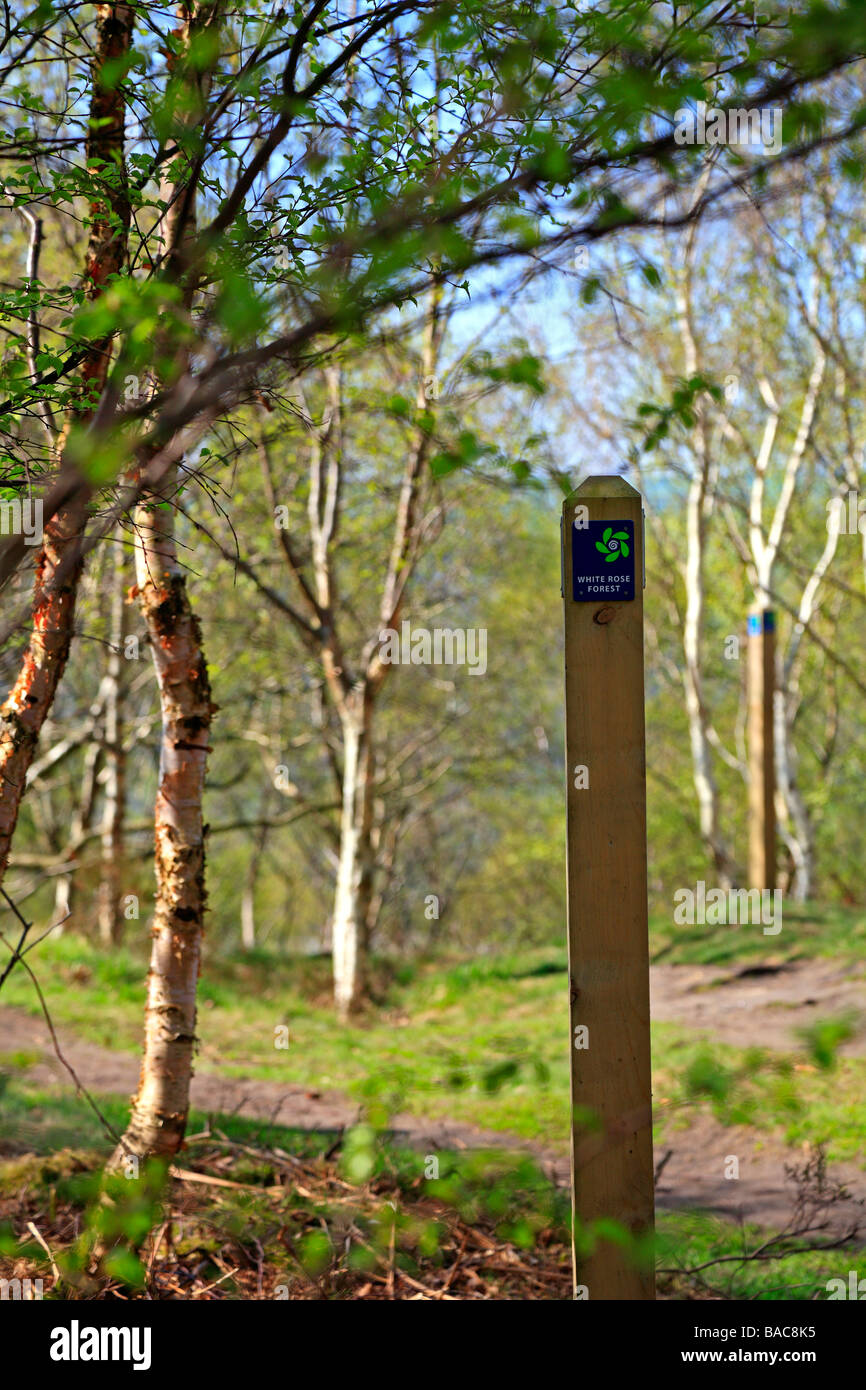 White Rose Forest marker post in Honley Wood, Holmfirth, West Yorkshire ...