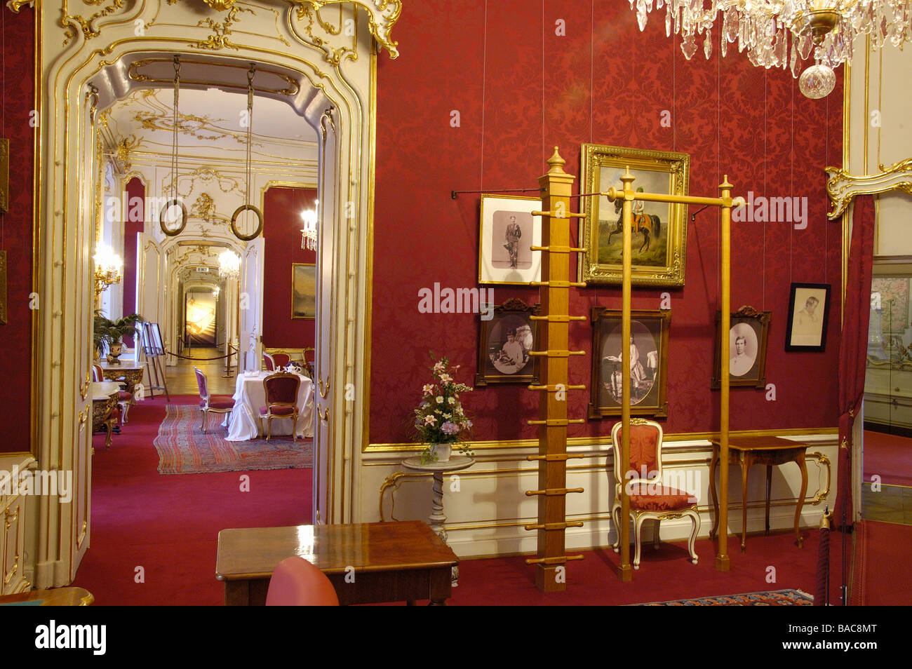 Medical museum vienna hi-res stock photography and images - Alamy