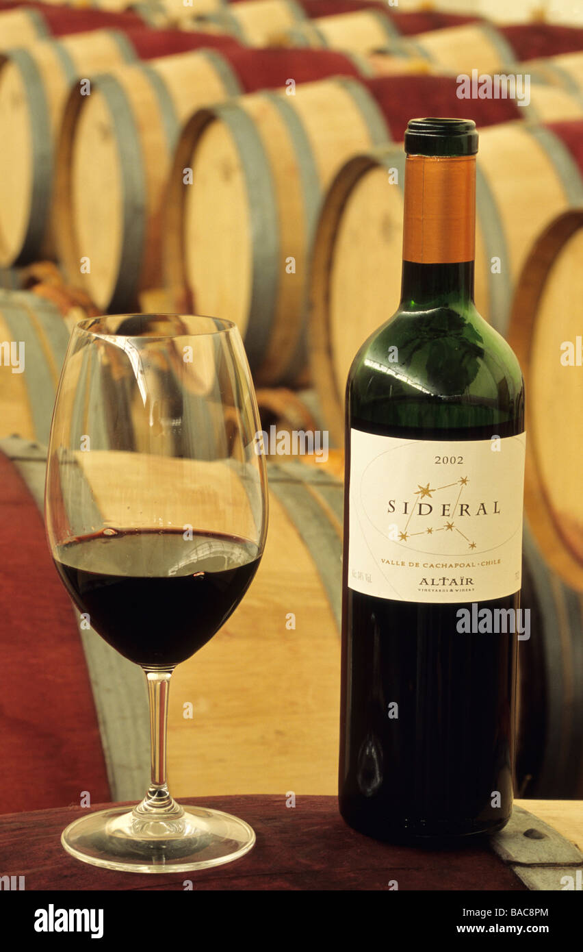 Chile, O'Higgins Region, Cachapoal valley, Totihue, Altair wine growing ...