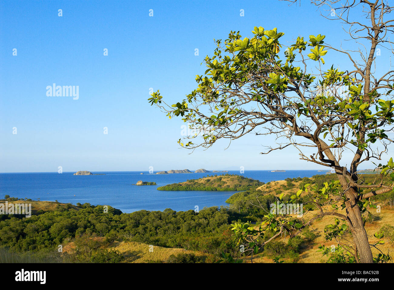 Indonesia, Flores, Sunda Islands, Riung, north of the island Stock ...