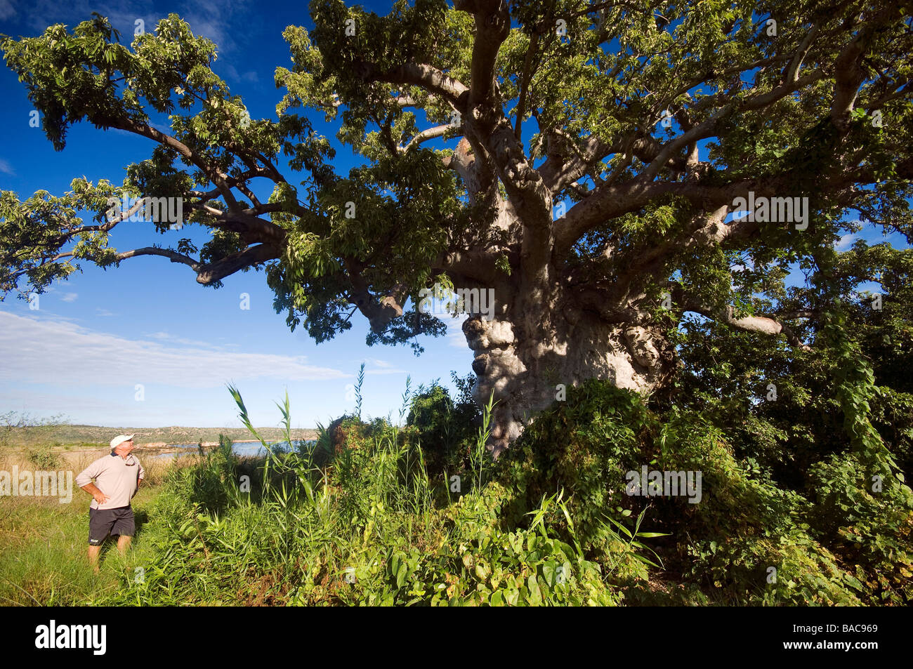 Vansittart bay kimberley hi-res stock photography and images - Alamy