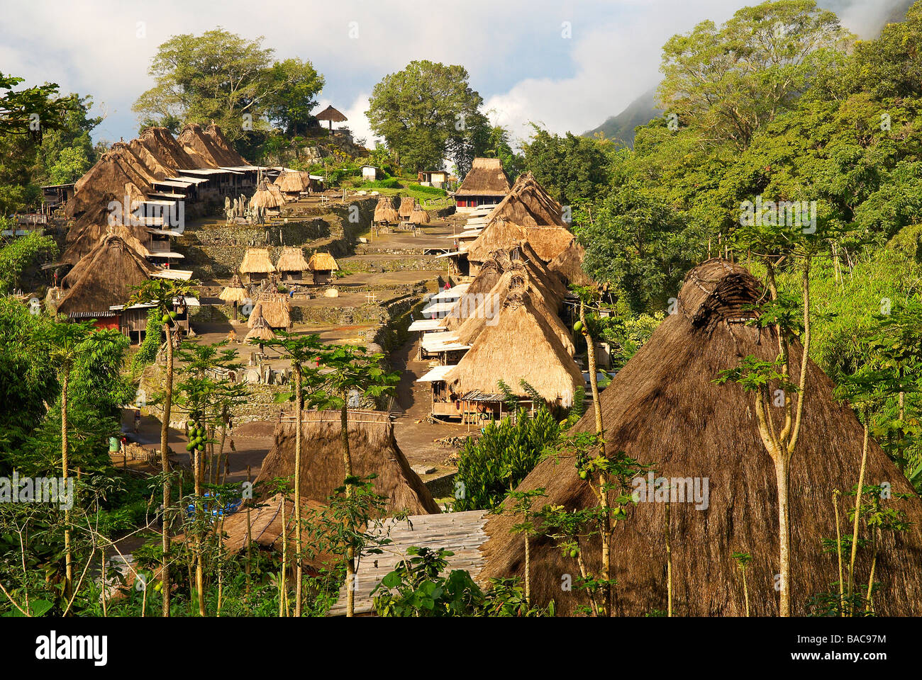 Indonesia, Flores, Sunda Islands, Ngada country, Bajawa area, Nage ...