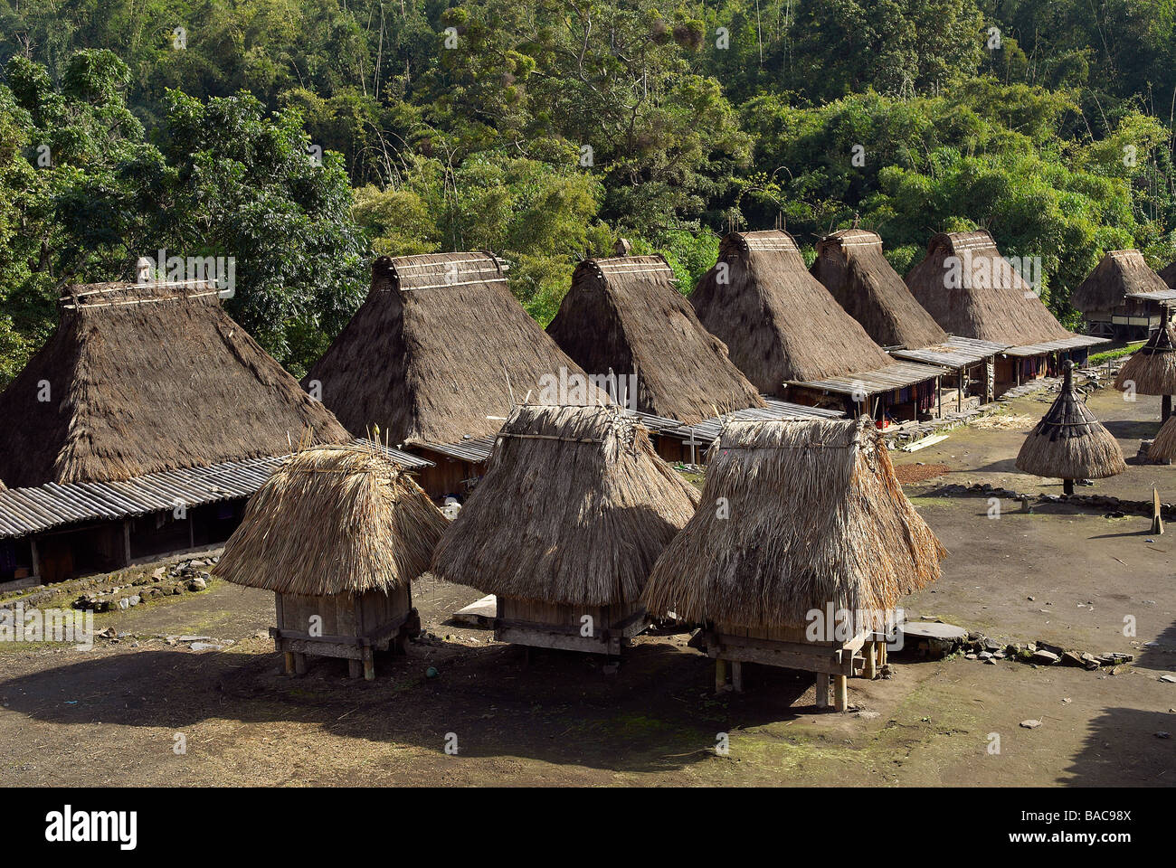Indonesia, Flores, Sunda Islands, Ngada country, Bajawa area, Nage ...