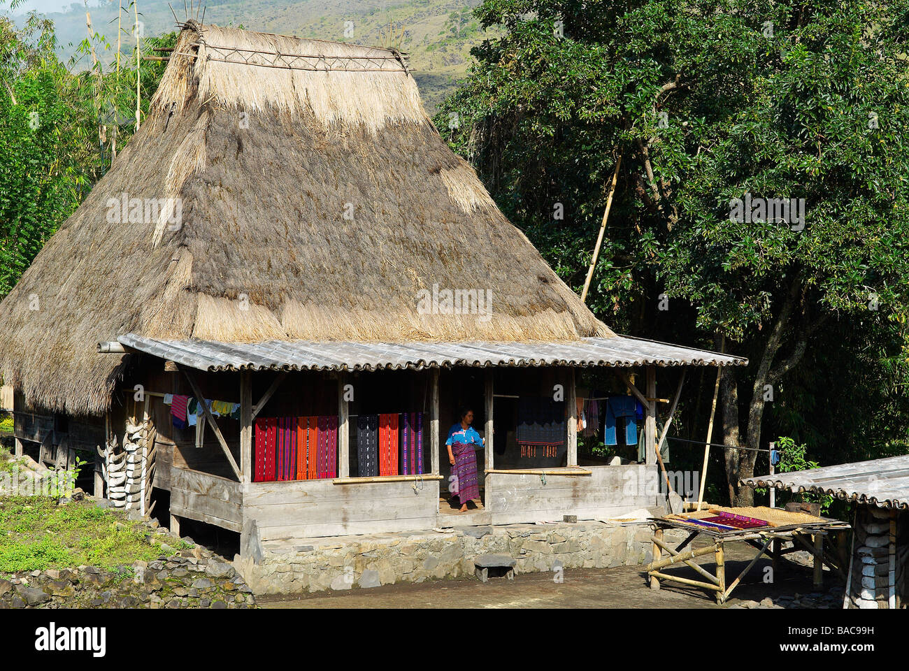 Indonesia, Flores, Sunda Islands, Ngada country, Bajawa area, Nage ...