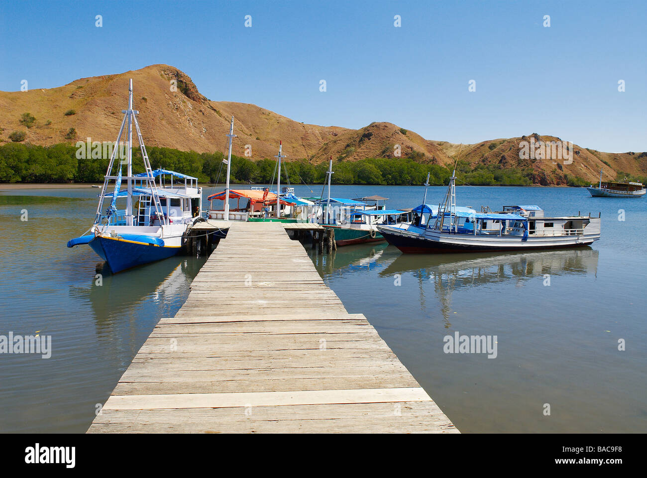 Boardwalk on rinca hi-res stock photography and images - Alamy