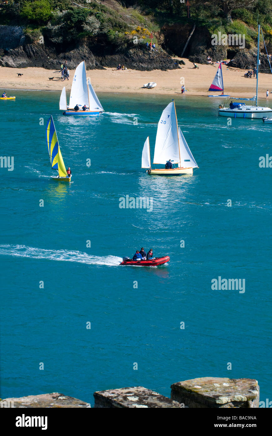 Dinghy Sailing in Salcombe Harbour Devon Stock Photo - Alamy