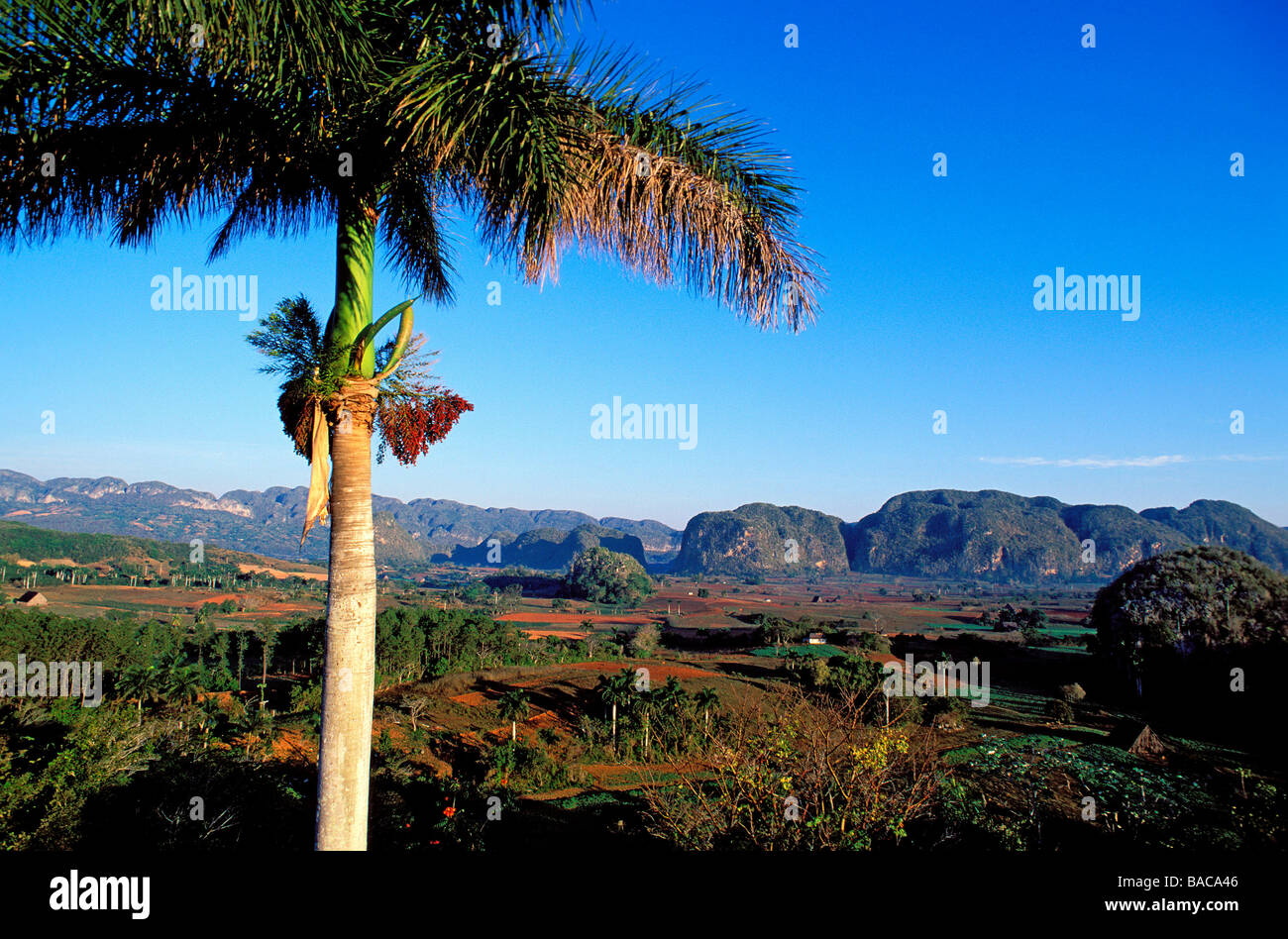 Cuba, Pinar del Rio Province, Vinales Valley classified as World ...