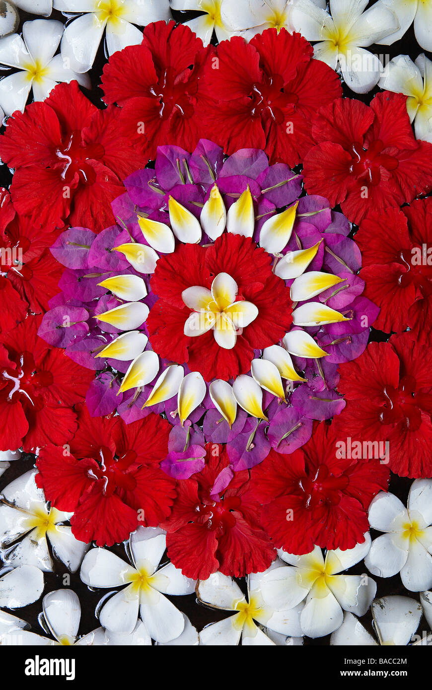 Indonesia, Bali, flowers for offering Stock Photo - Alamy