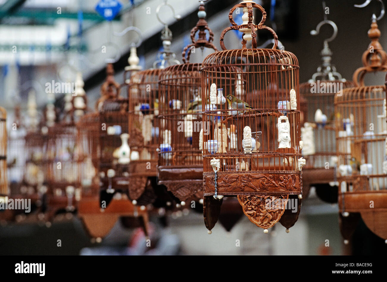 Singapore, Poh Seng, bird cages detail Stock Photo - Alamy