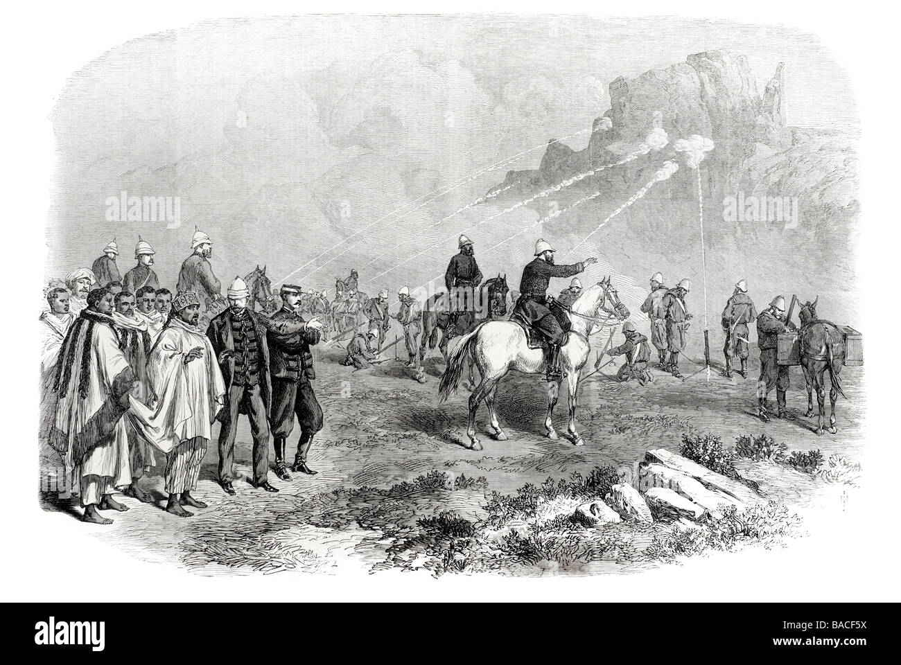 Abyssinian horse hi-res stock photography and images - Alamy