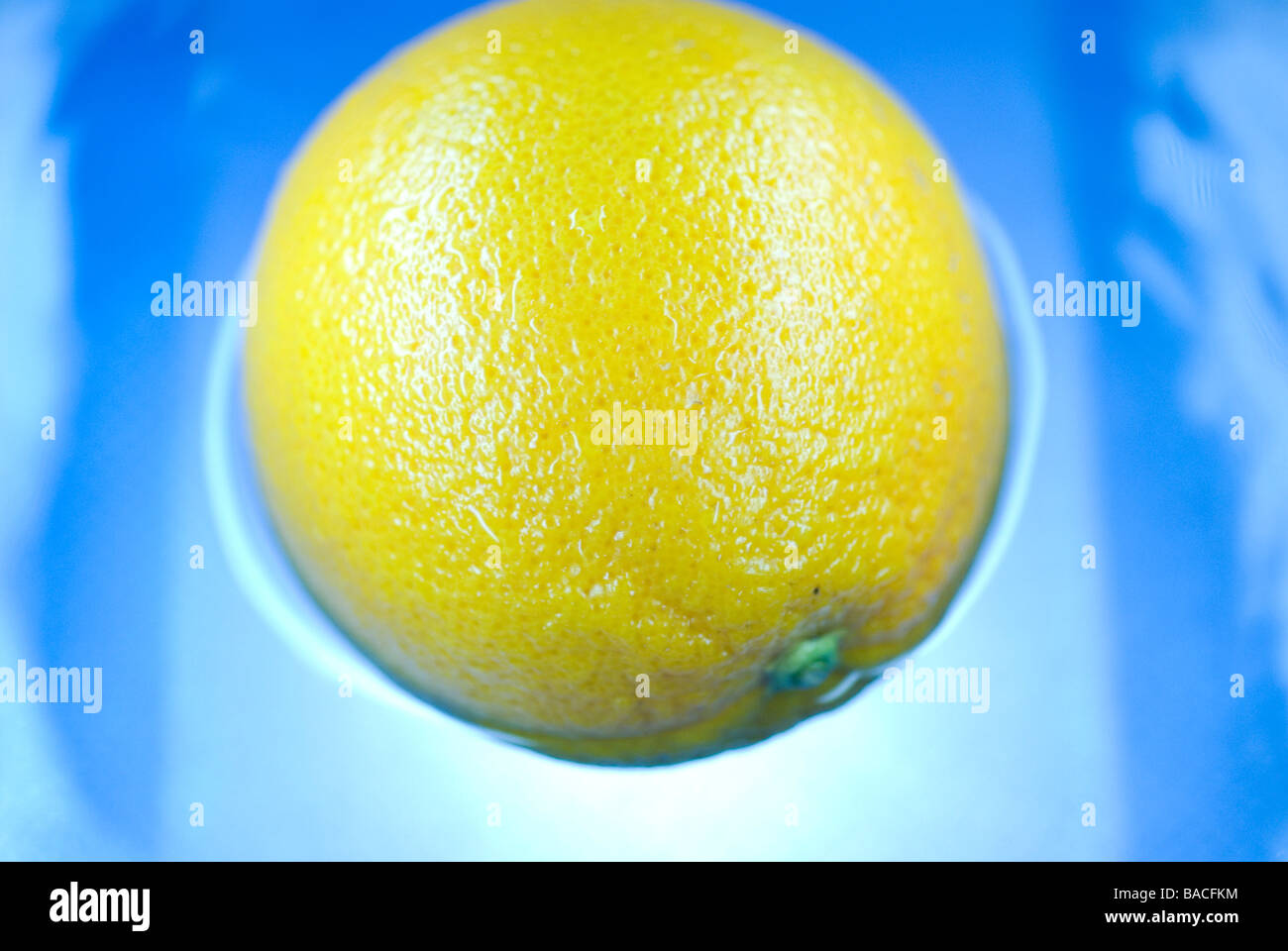 Lemon floating in blue water background, close-up Stock Photo - Alamy