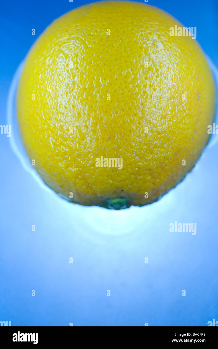 Lemon floating in blue water background, close-up Stock Photo - Alamy