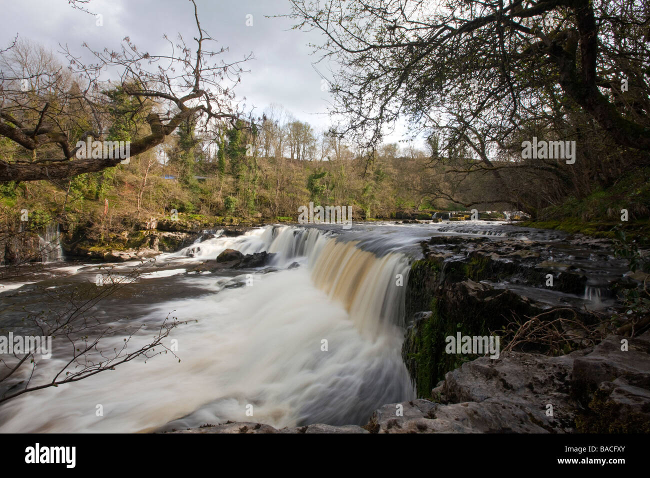 "Aysgarth Falls" in the Yorkshire Dales England UK Stock Photo - Alamy