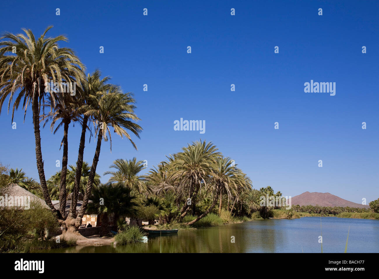 Rio San Ignacio High Resolution Stock Photography and Images - Alamy