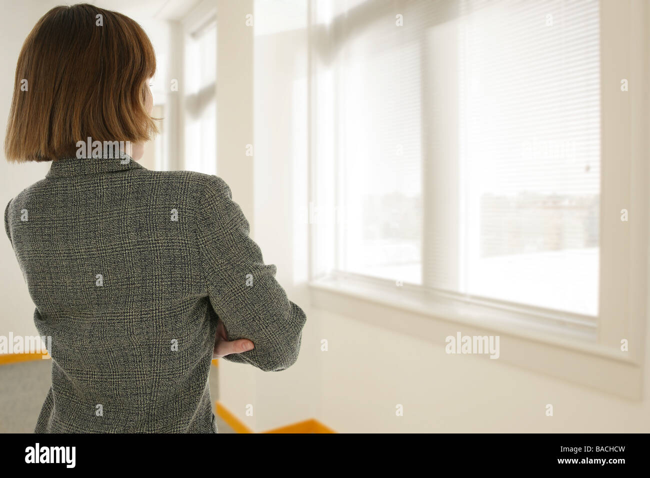 Rear view of a businesswoman looking through a window Stock Photo - Alamy
