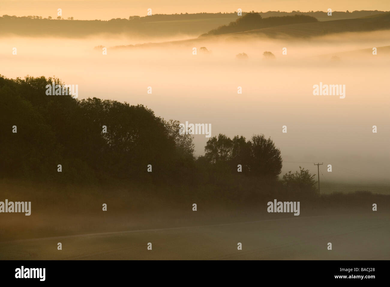 The Meon Valley in a misty sunrise Stock Photo - Alamy