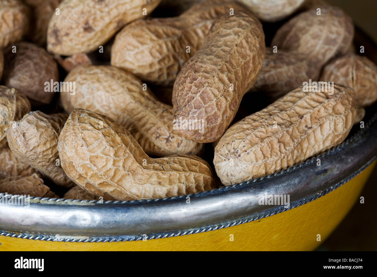 Imperial Cup High Resolution Stock Photography and Images - Alamy